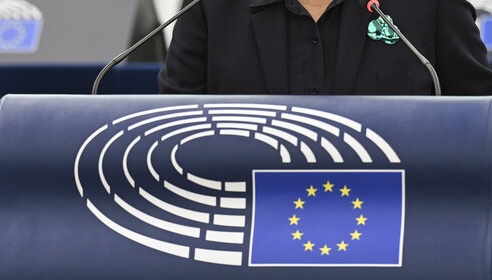 End FGM European Network’s reaction to the European Parliament’s urgent ...